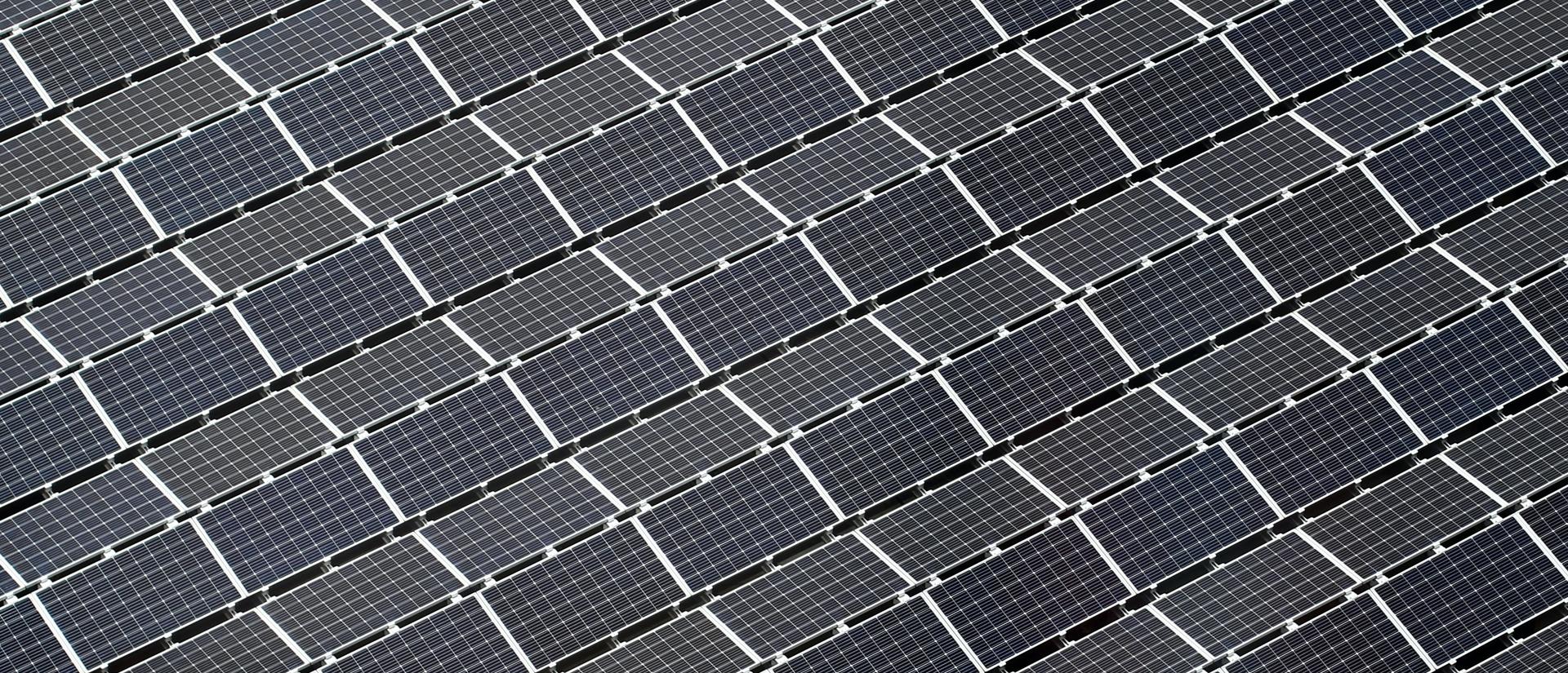 Programs | Harvard University Center for the Environment